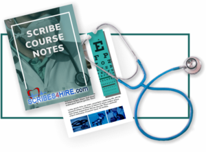 New York City - Scribes4hire